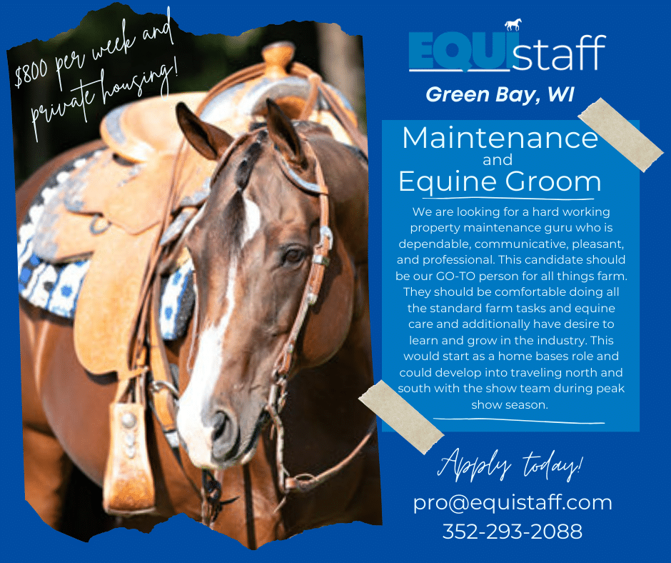 Equine Recruitment Agency in Ocala, FL | Equistaff Pro